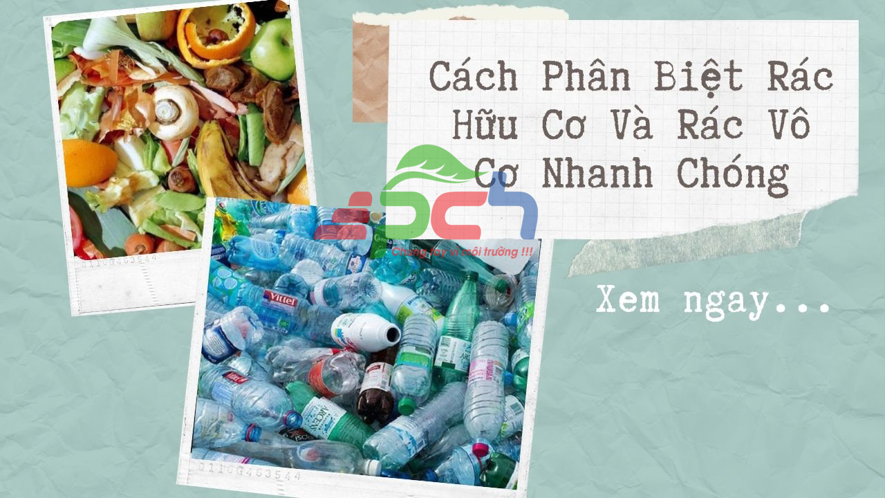 Hướng dẫn chi tiết cách phân loại rác vô cơ và rác hữu cơ tại nhà